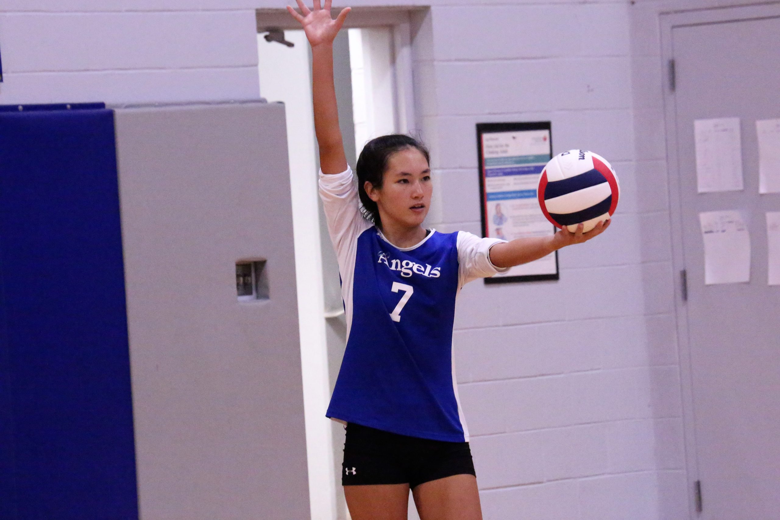 Volleyball – Academy of the Holy Angels